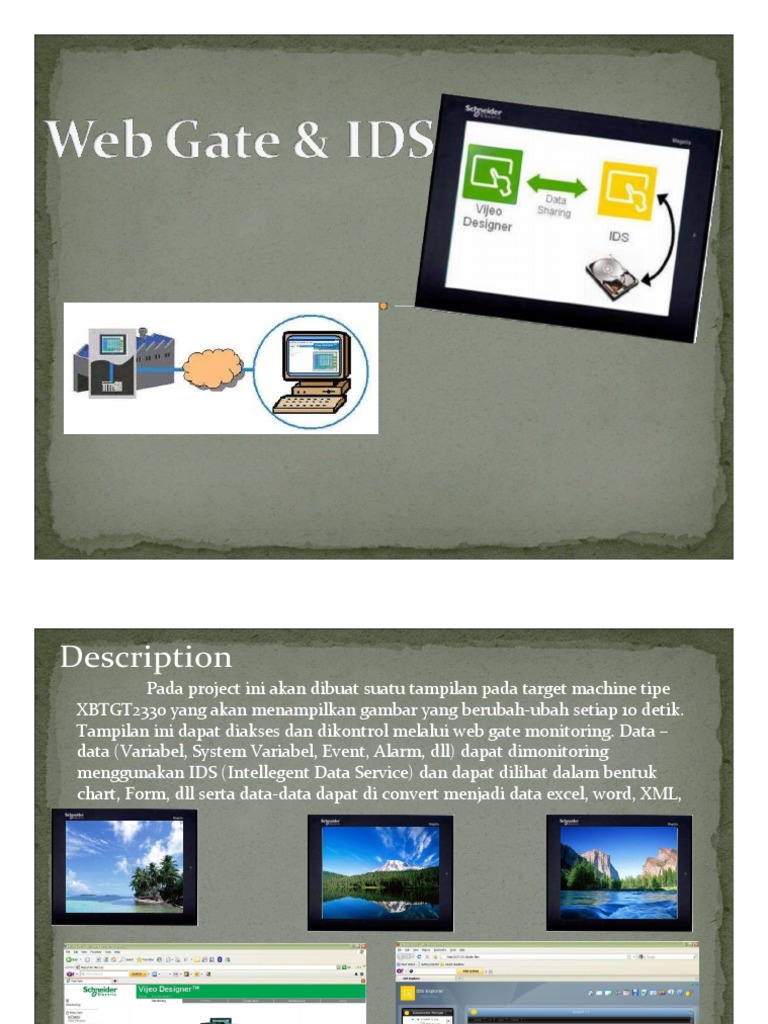 IDS and Web Gate | PDF