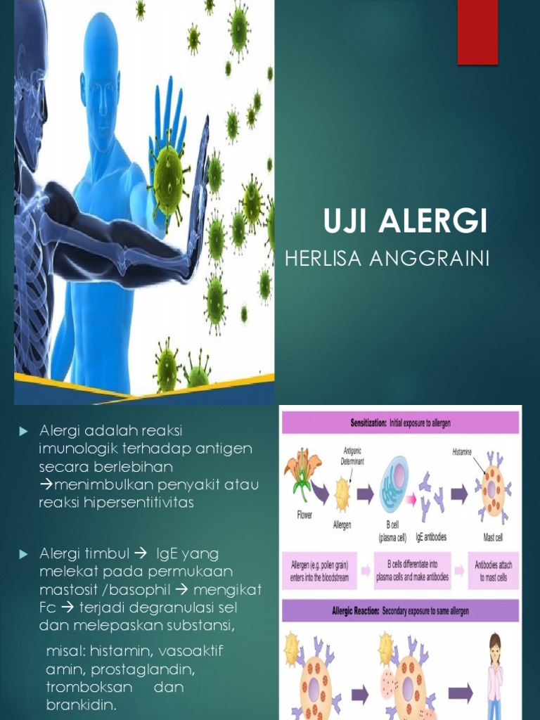 Uji Alergi | PDF