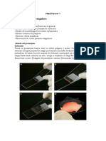 PRÁCTICA 5. Hematología. Tinción de Wright | PDF | Leucocito | Hematología