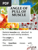 Butler Neural Mobilization | PDF | Nervous System | Nerve