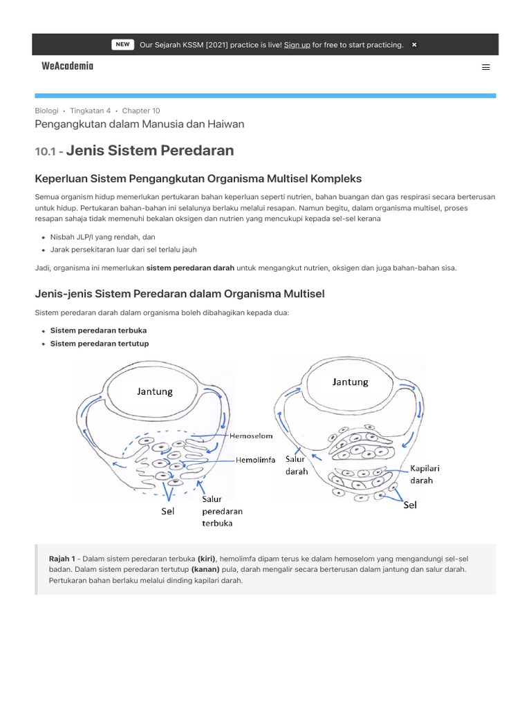 Sistem Peredaran Organisma Multisel | PDF