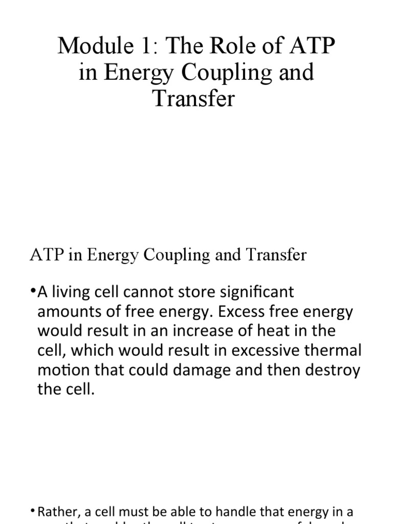 The Role Of Atp In Energy Coupling Module Pdf
