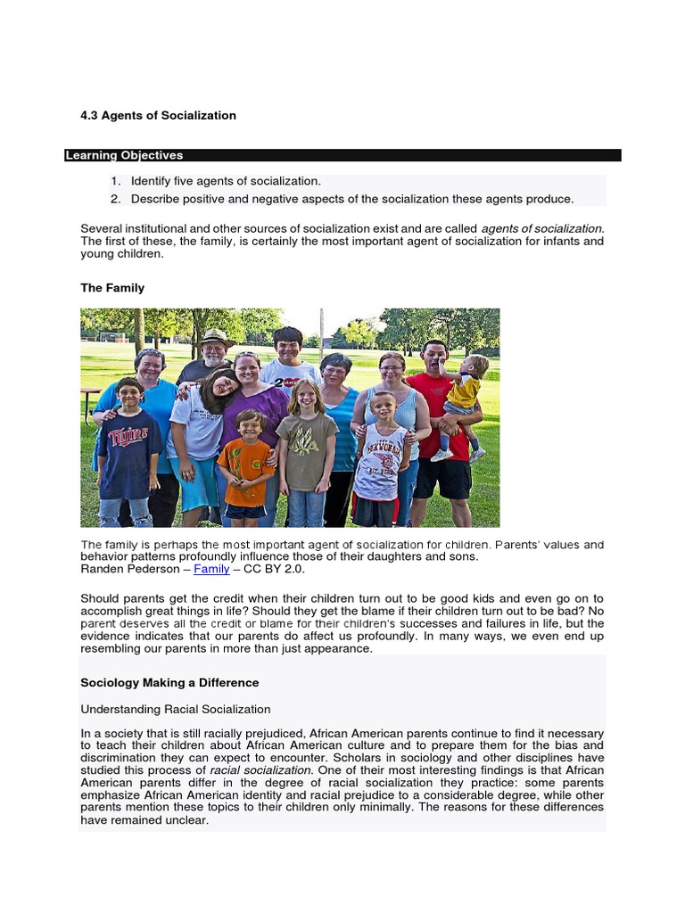 Agents of Socialization | PDF | Socialization | Violence