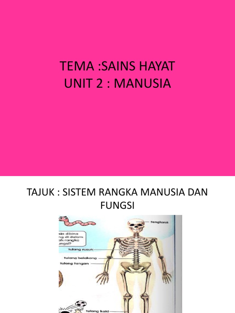 Sistem Rangka | PDF