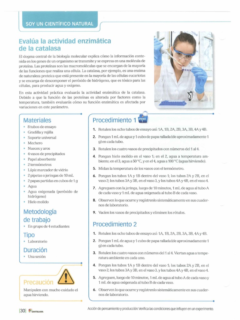 Lab 1-Evalua La Actividad Enzimatica de La Catalasa | PDF | Proteínas | Agua