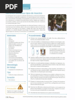 Tipos de Antenas en Insectos | PDF | Laboratorios | Insectos