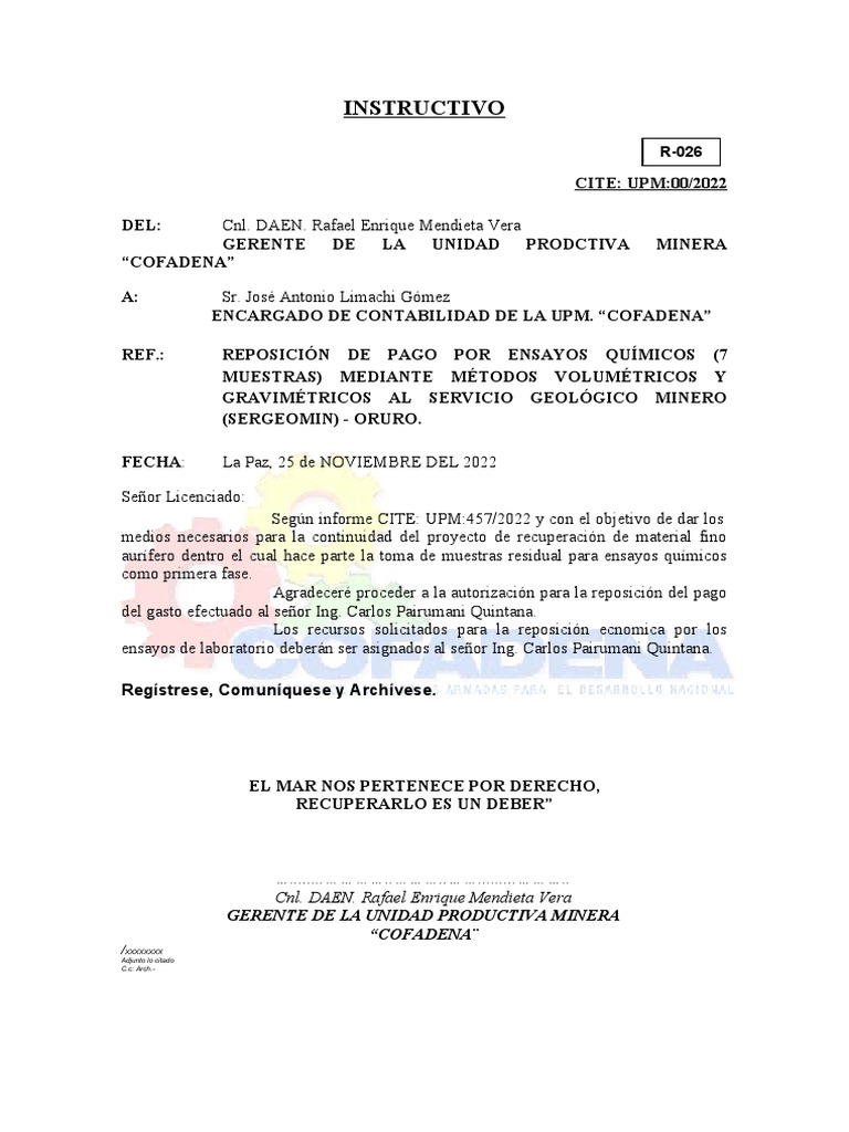 Modelo Instructivo | PDF