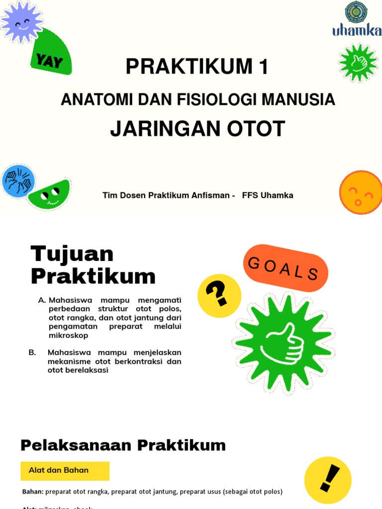 UHAMKA Jar. Otot | PDF | Sains & Matematika