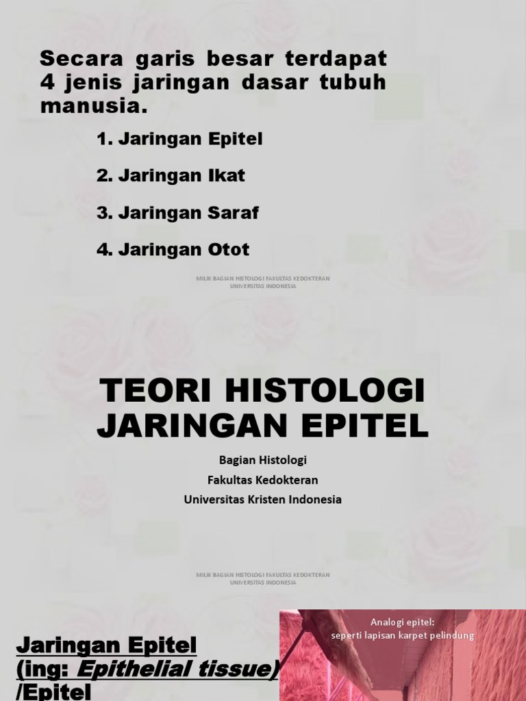 Blok 1 EPITEL - BAG HISTOLOGI FK UKI 2022 | PDF