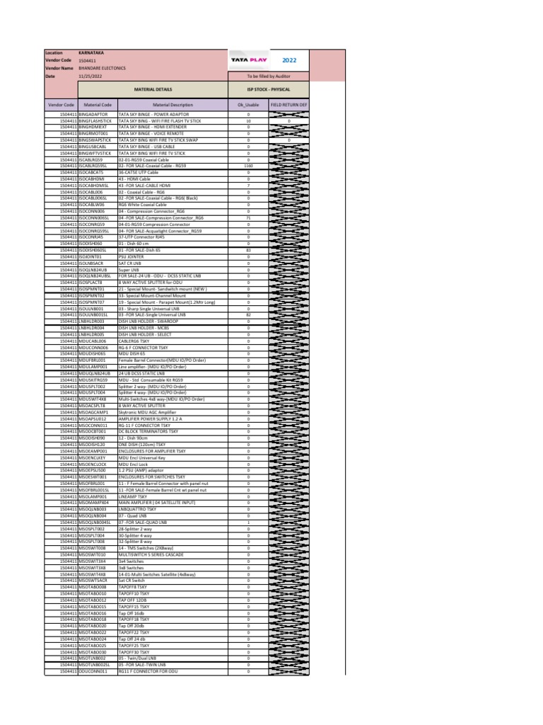 Final Audit Format - 2022 | PDF | Computer Hardware | Equipment