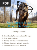 Goat Vital Signs and Health Guide | PDF | Goat | Thermoregulation