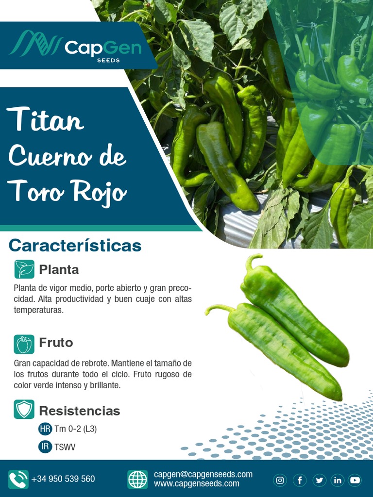 Ficha-de-Variedad-CapGen-Seeds_Titan (1) | PDF
