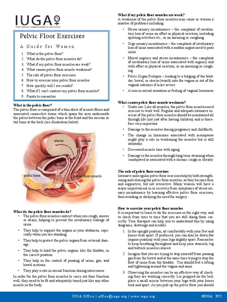 Pelvic Floor Exercises RV2-1 | PDF | Urinary Incontinence | Pelvis