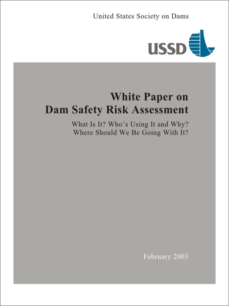 2003 Dam Safety Risk Assessment White Paper | Download Free PDF | Risk ...