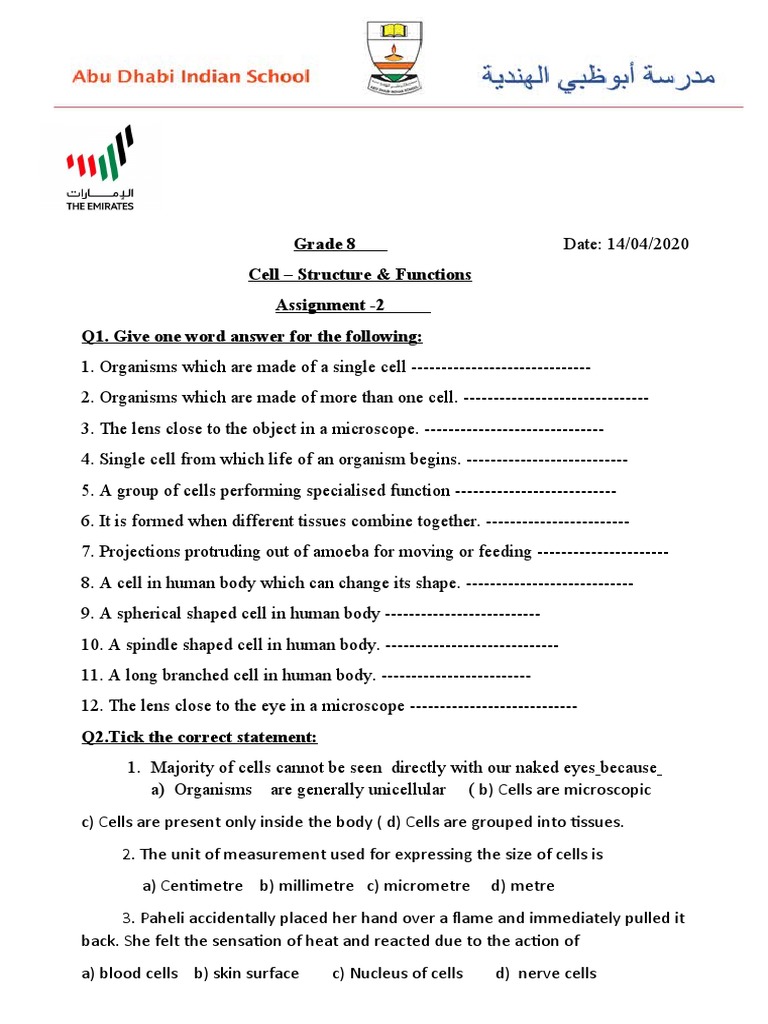 Grade-8 Cell-Structure Functions H.A - 2 2020-21 | PDF