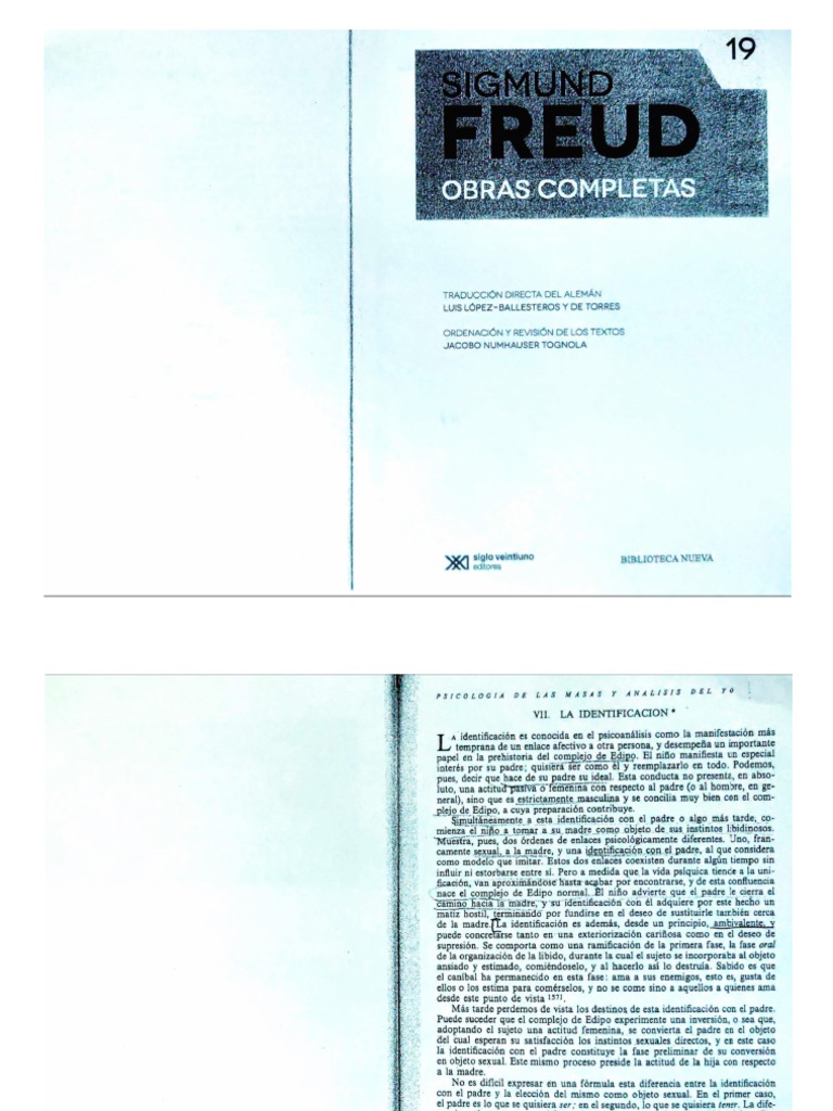 Tomo 19-Freud | PDF