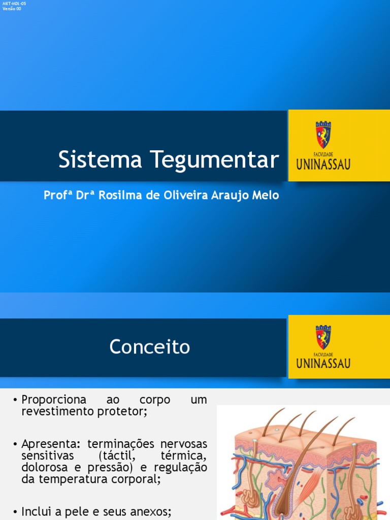 Aula 12 Anatomia Humana Sistema Tegumentar | PDF