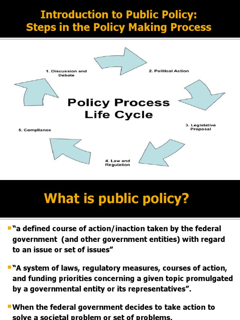 Understanding the Public Policy Process | PDF | Policy | Justice
