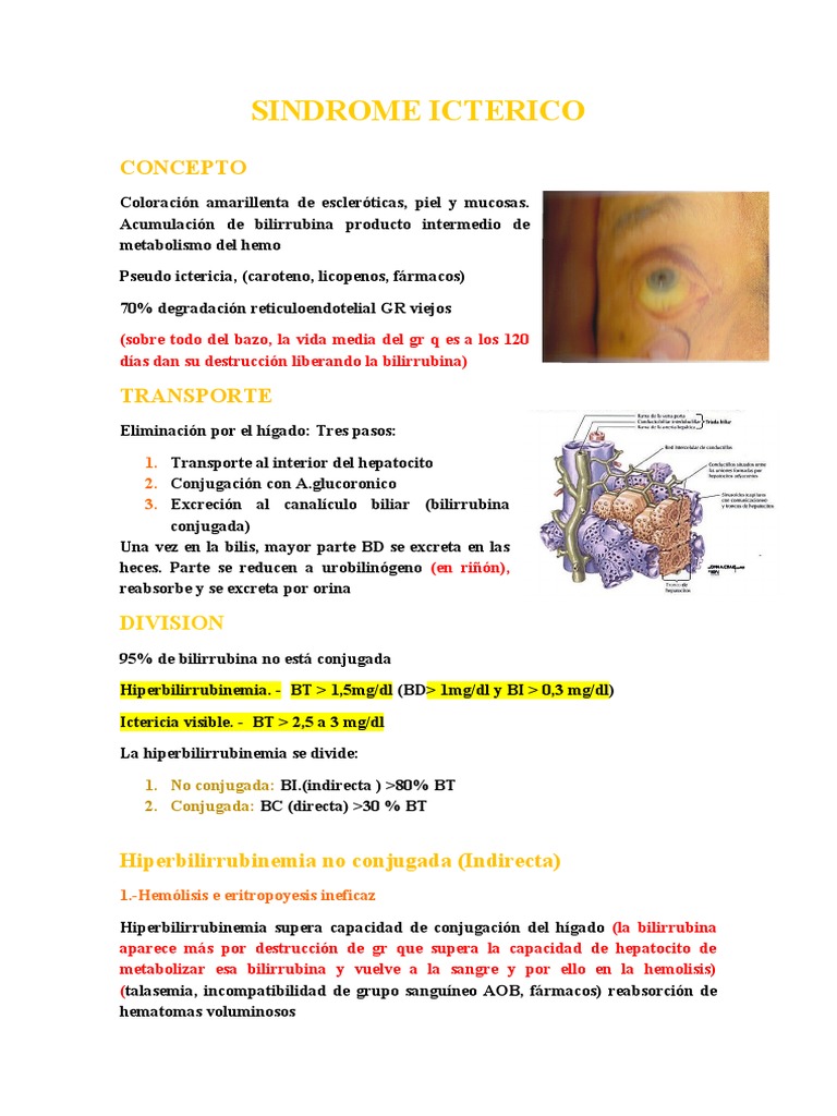 Sindrome Icterico | PDF | Hepatitis | Virus