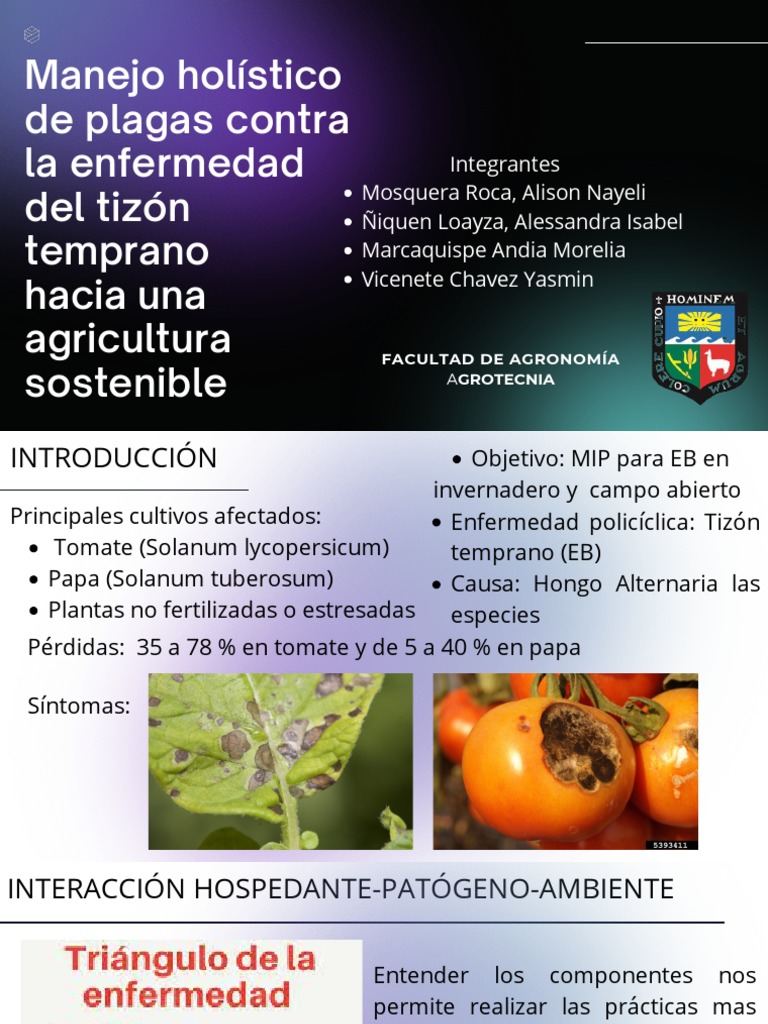 Enfermedad Tizón Temprano | PDF | Agricultura | Patata