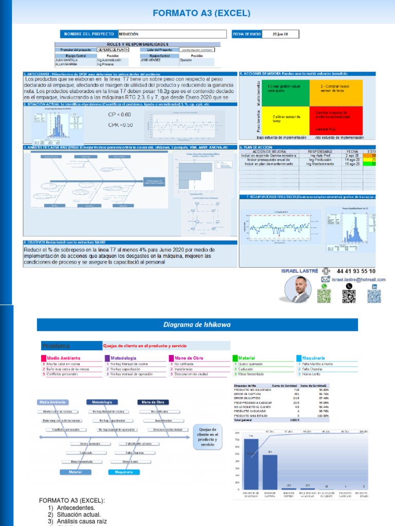 Formato A3 (Excel) | PDF