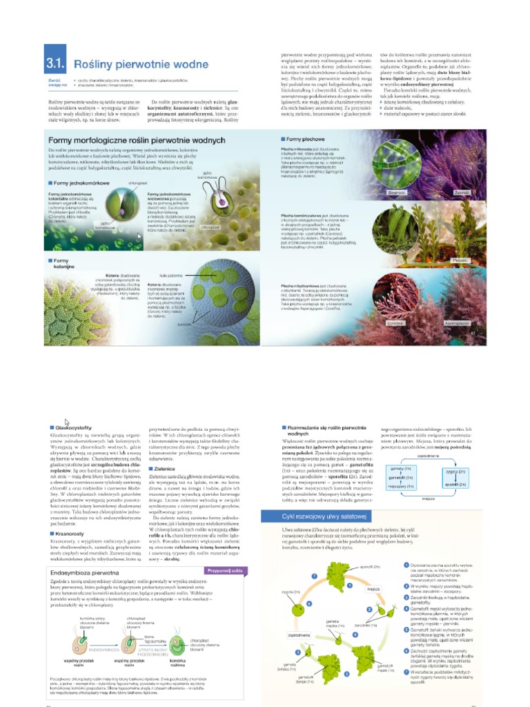1T-Roz Biol. Stopa Sr. | PDF