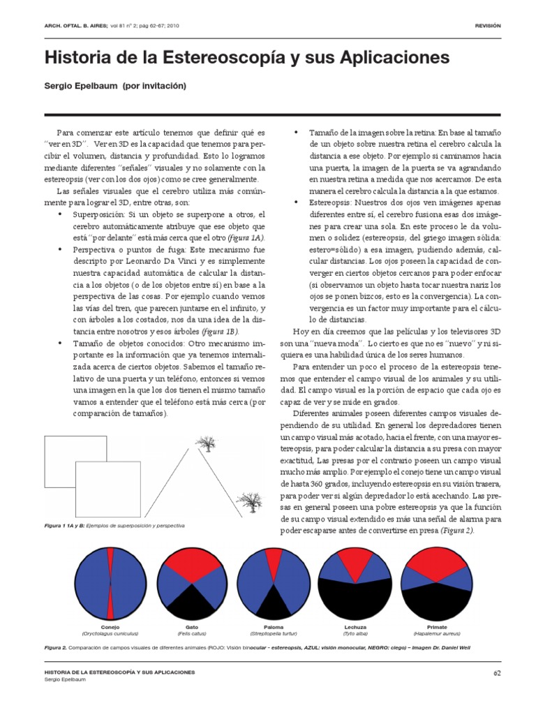 Historia de la Estereoscopía y sus Aplicaciones | PDF | Color | Visión ...