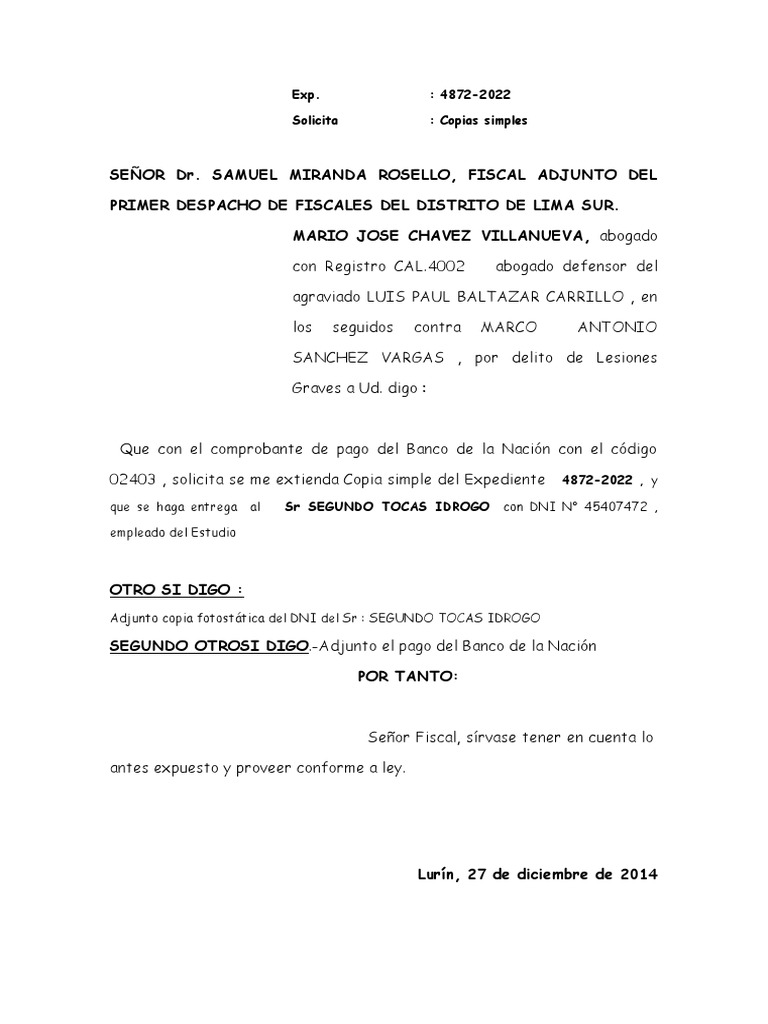 Solicita Copias Simples | PDF | Gobierno | Justicia