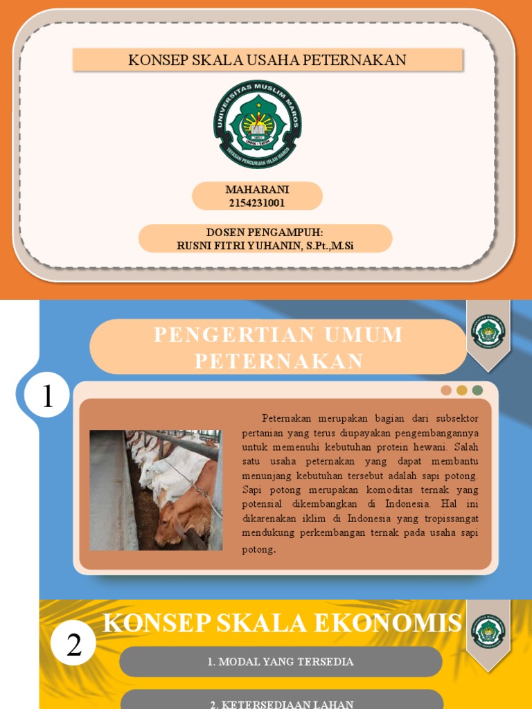 Skala Usaha dalam Peternakan Sapi | PDF