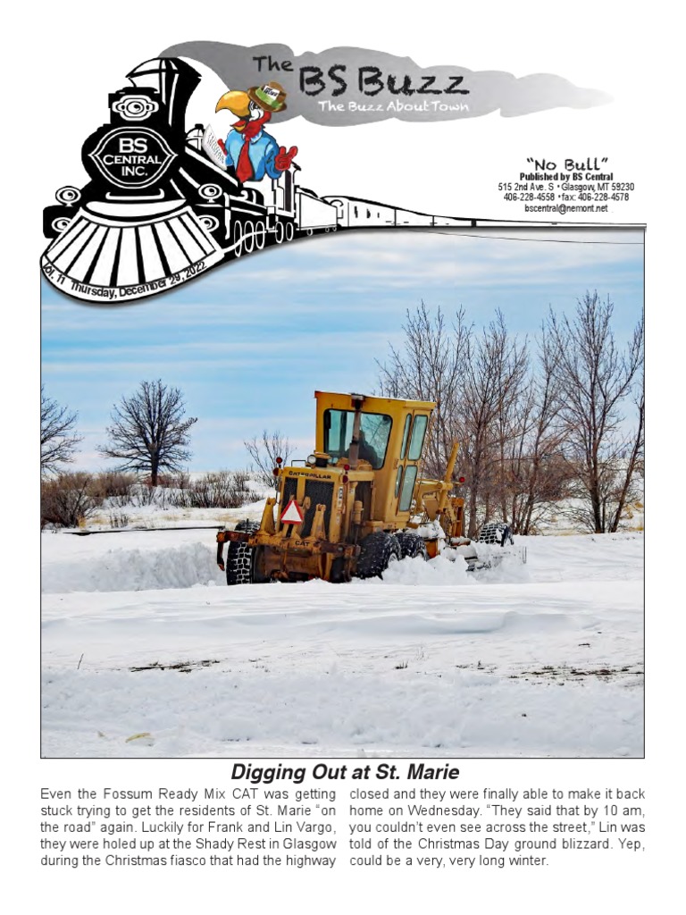 BS Buzz | PDF | Birth Control | Family Planning