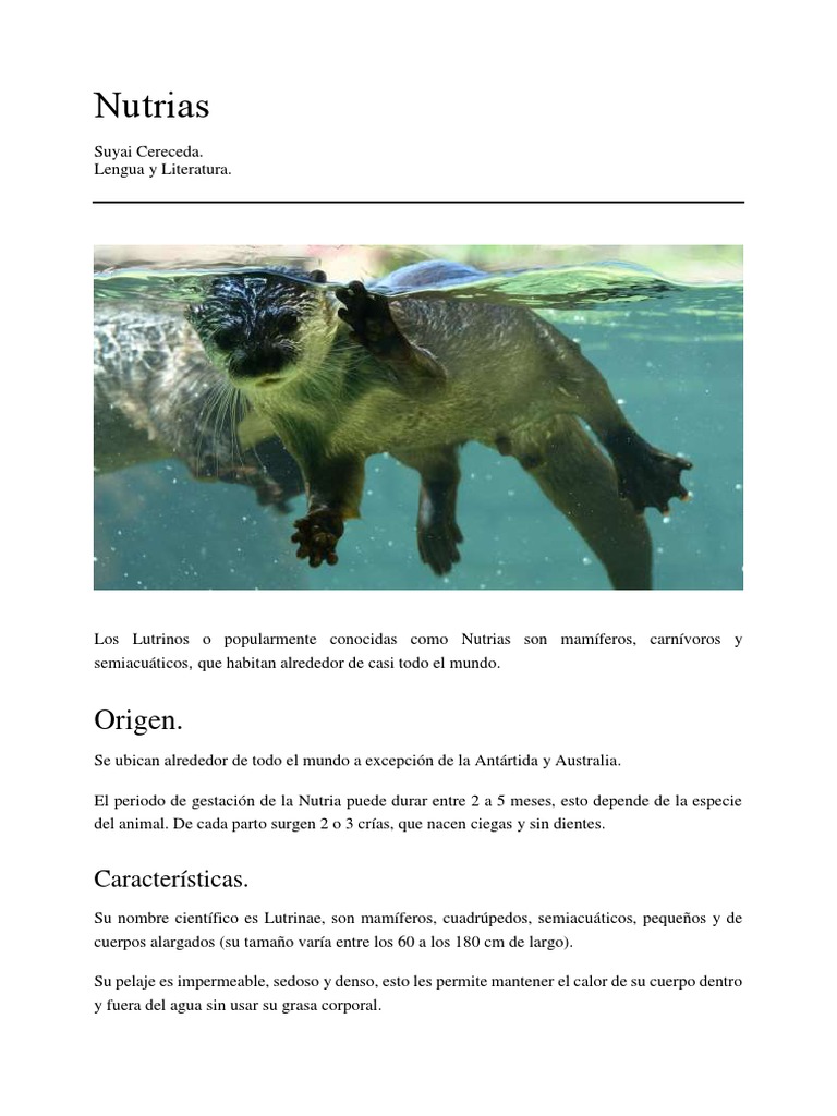 2021 Alumnos Las Nutrias | PDF | Hogar, jardinería y bricolaje