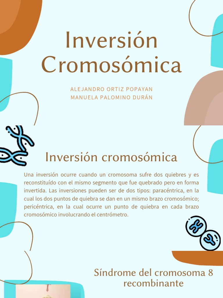 Inversión cromosómica: síndrome del cromosoma 8 recombinante | PDF ...