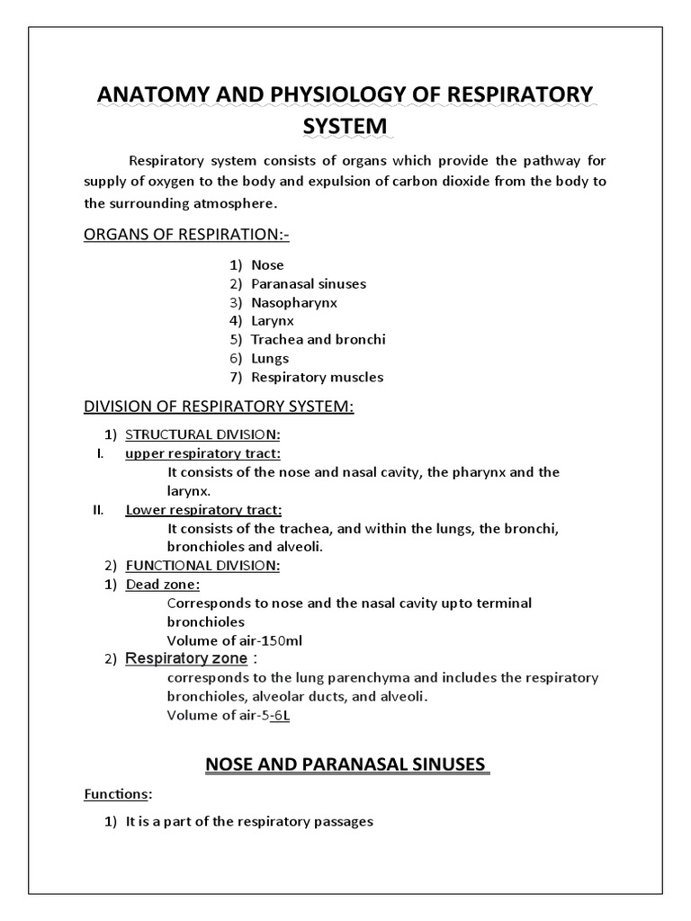 Anatomy and Physiology of Respiratory System | PDF | Respiratory Tract ...