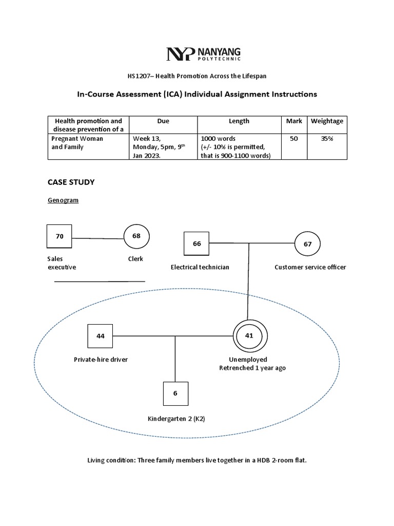 HS1207 01 ICA Individual Assignment Instructions AY22 - (Updated) | PDF ...