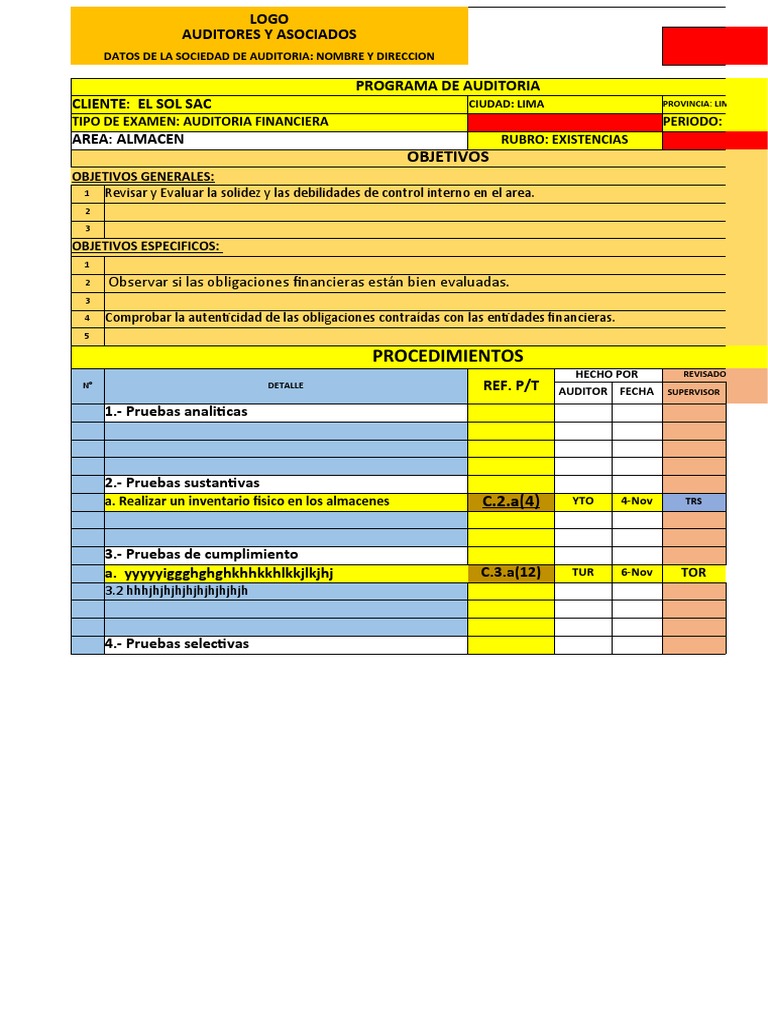 Formato Programa de Auditoria | PDF | Cheque | Bancos
