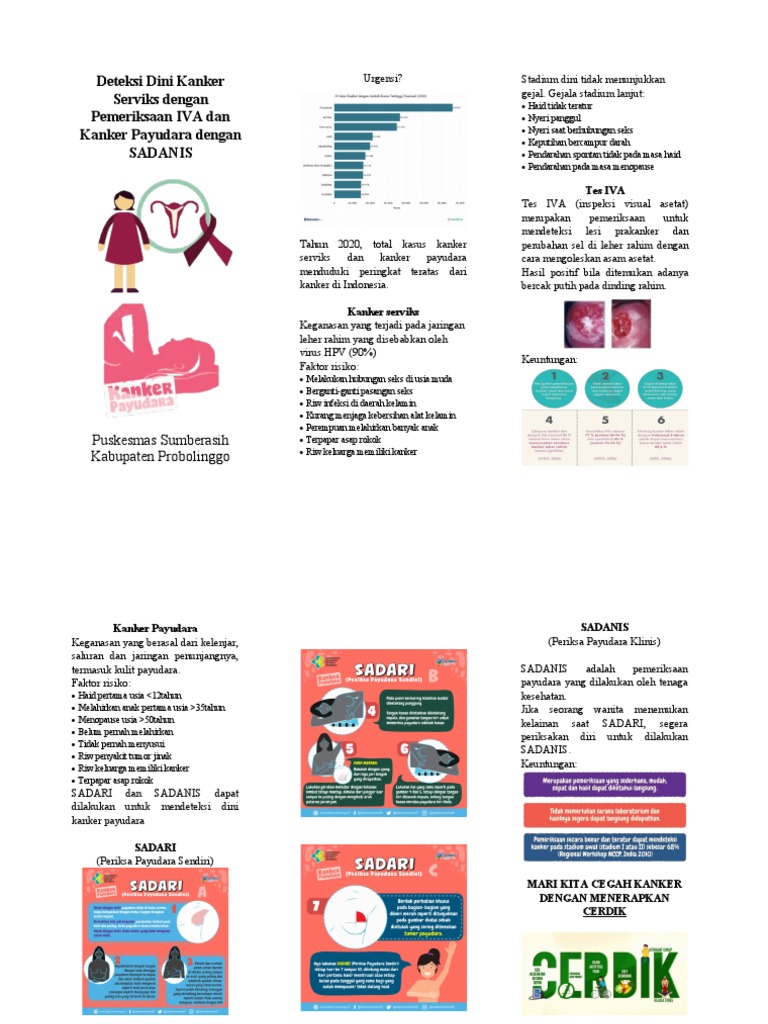 Leaflet Iva Dan Sadanis | PDF