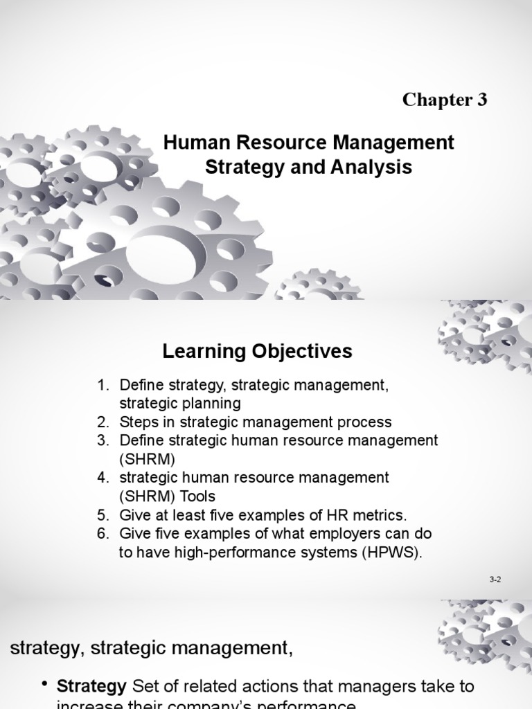 HRM 301 Chapter 3 | PDF | Human Resource Management | Strategic Management