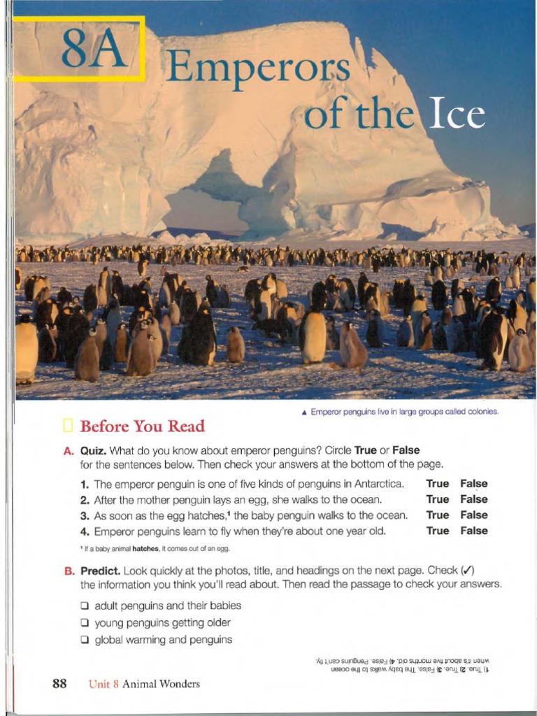 Emperors of the Ice: Class 8 Summary | PDF | Penguin | Birds
