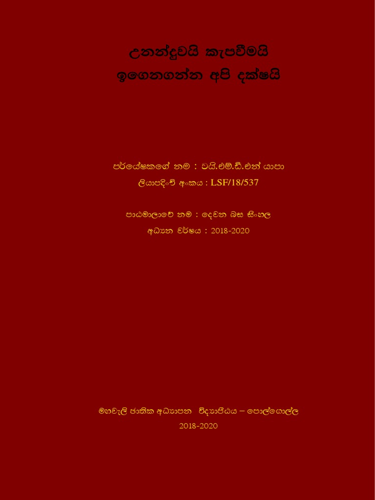 Final Action Research 2022.11.26 | PDF