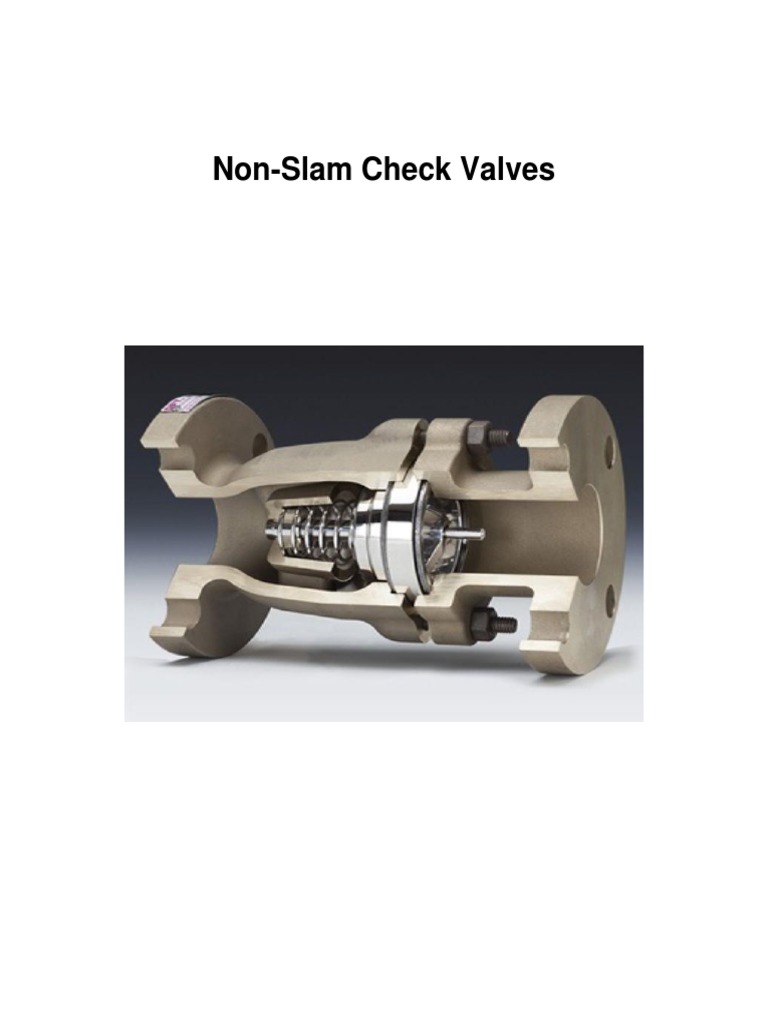 Non-Slam Check Valve Overview | PDF | Valve | Pump