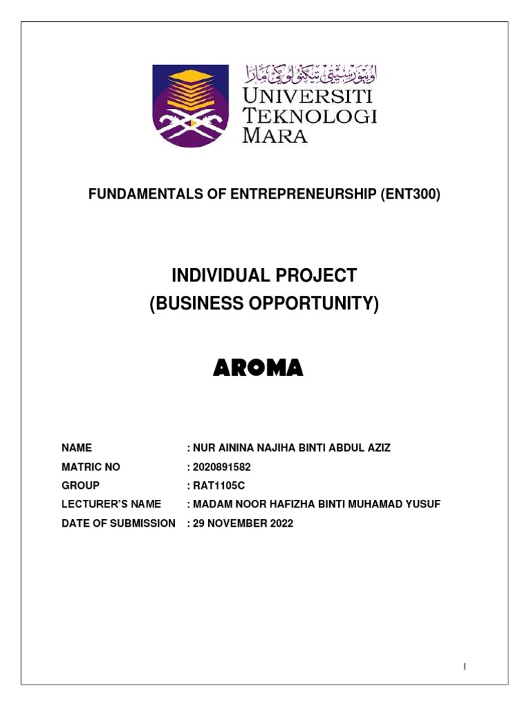 Ent300 Individual Assignment | PDF