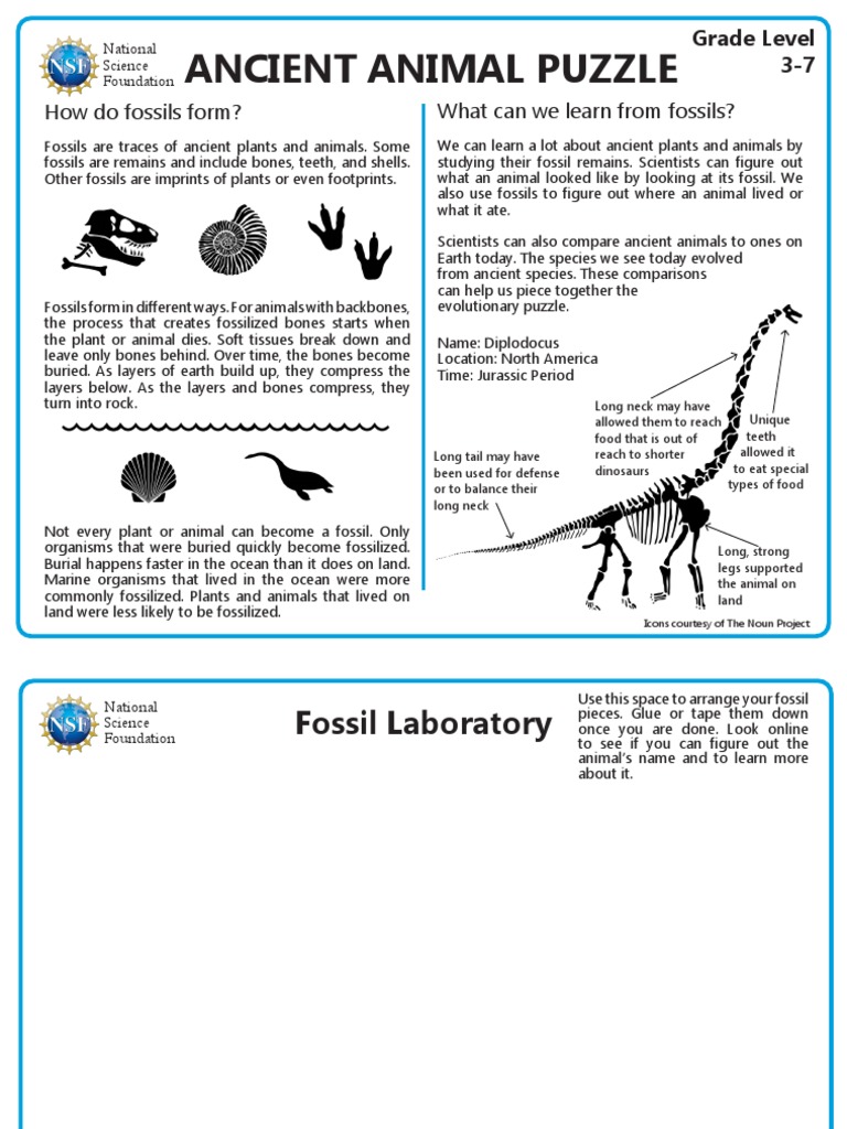 Earth Science Worksheets | PDF | Plate Tectonics | Earth