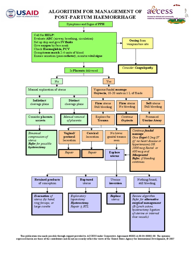 15 NG - PPH Algorithm-Aug08 | PDF | Medical Specialties | Clinical Medicine