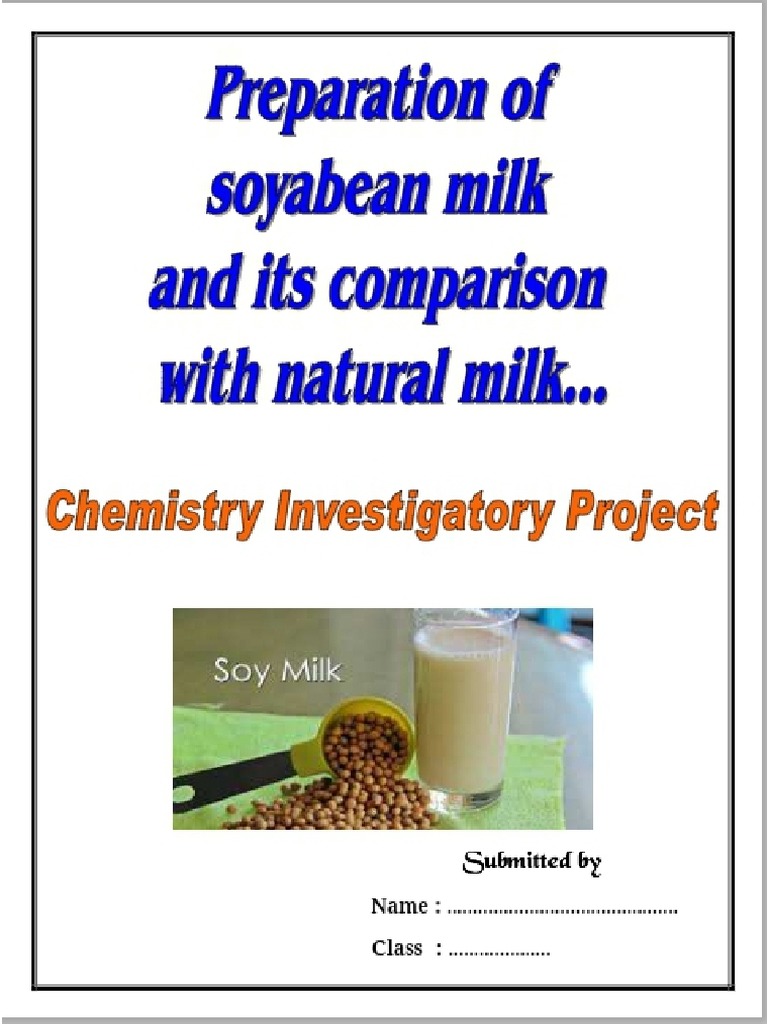 Soya Milk Class 12 Chemistry Project | PDF