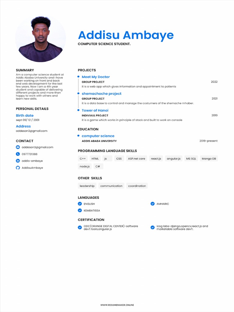 Addis Ambaye - Resume | PDF | Information Technology Management | Computer Science