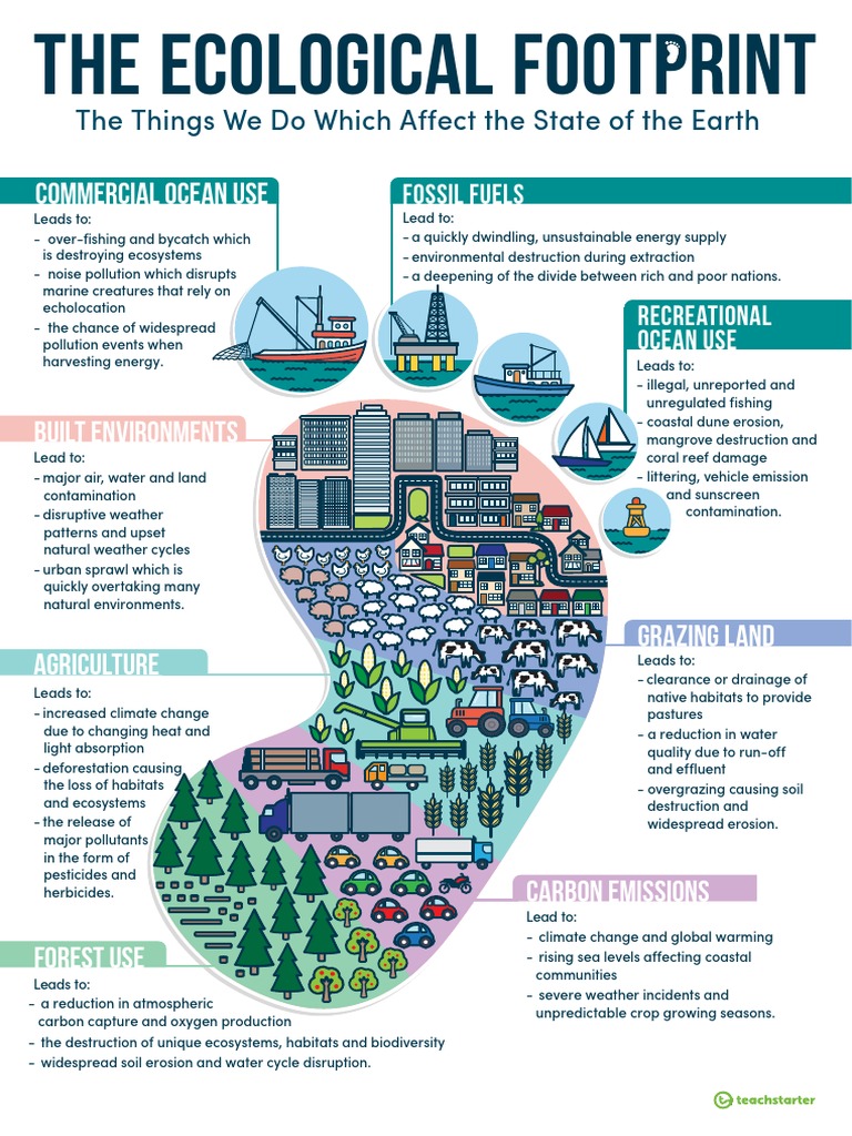 The Ecological Footprint Poster Adobe Reader | Download Free PDF ...
