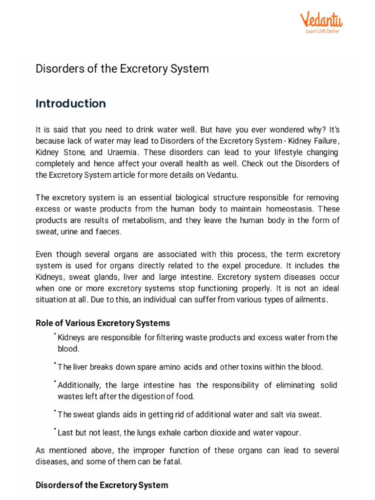 Disorders of The Excretory System | PDF