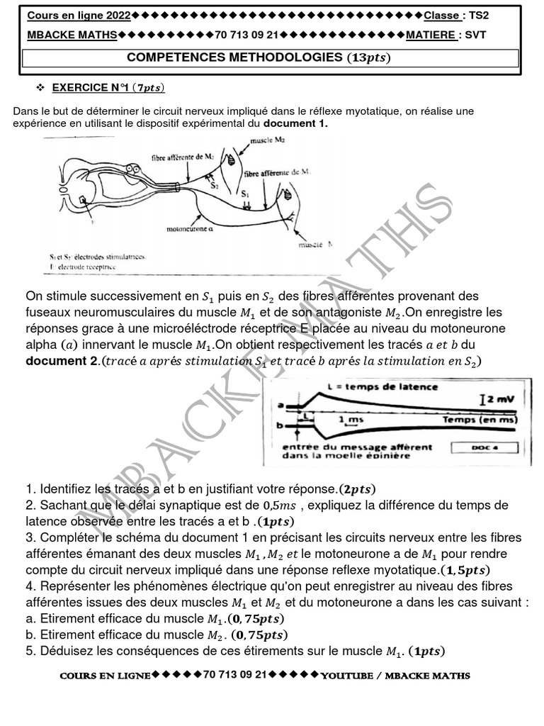 Fiche 8 - SVT - TS2 + Corrige | PDF | Méthodes et références pédagogiques | Sciences et ...