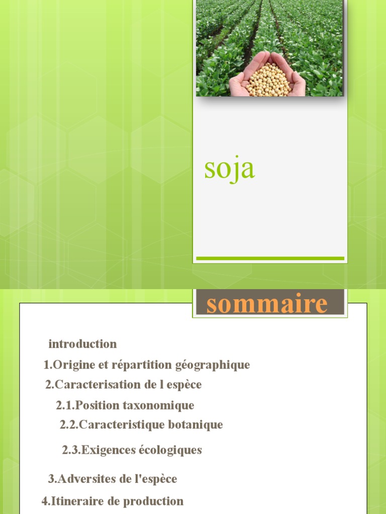 Soja | PDF