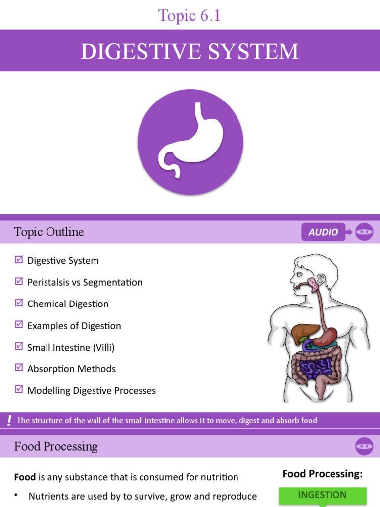 Topic 6.1 | PDF | Digestion | Human Digestive System